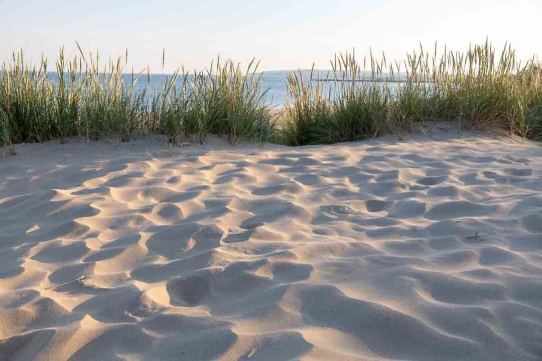 Camber Sands: things to do and guide to visiting