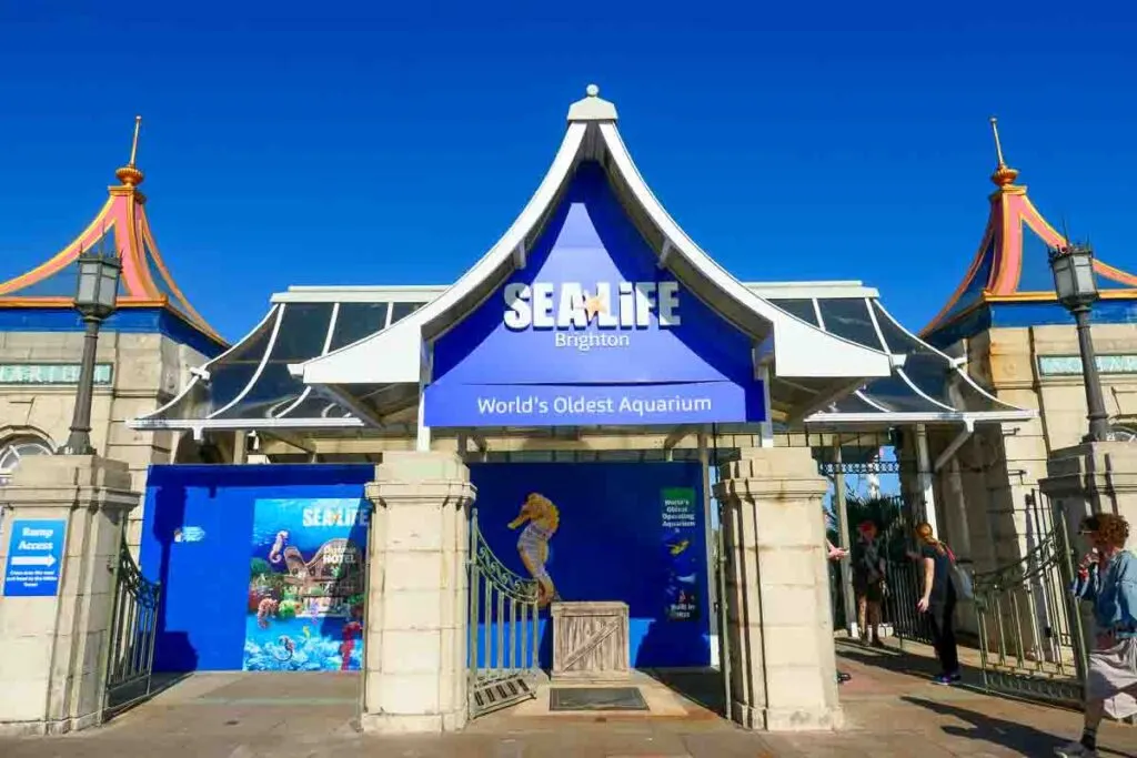 22 Top Things to do in Brighton - a local's guide