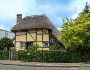 Things to do in Steyning, West Sussex: A local’s guide