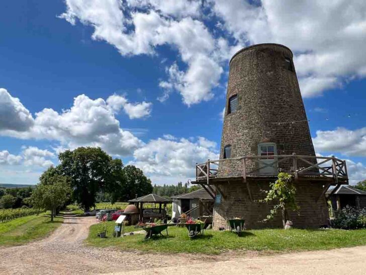 Vineyards in Sussex for wine tours, tastings and dining