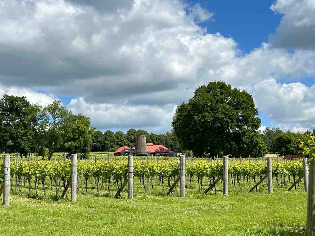 Vineyards in Sussex for wine tours, tastings and dining